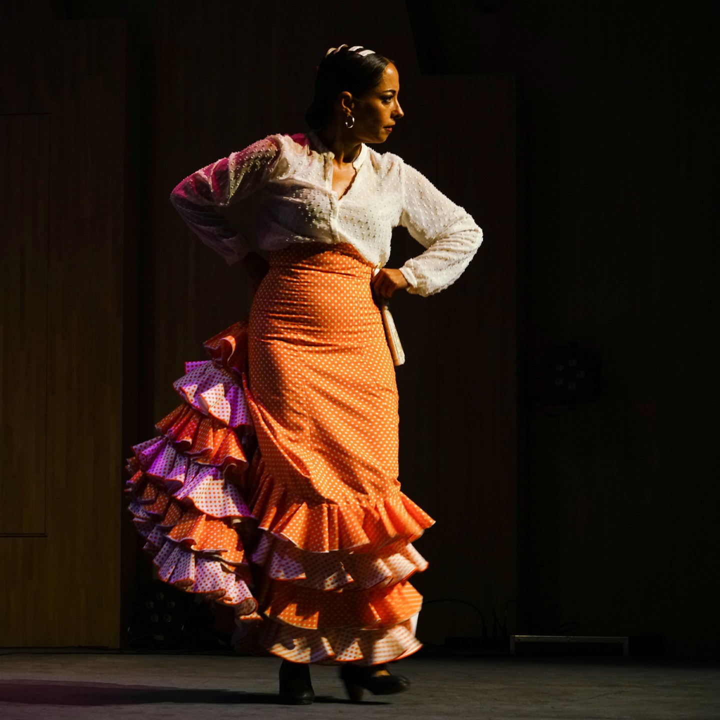 Belén Maya – Fondation Jan Michalski